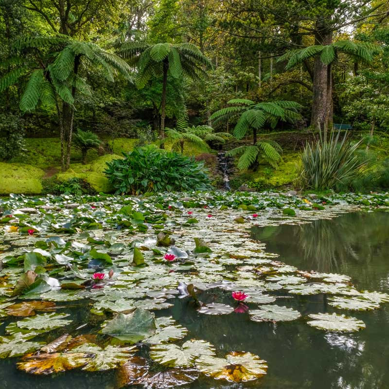Unveiling the Azores: 10 Captivating Things to Do on These Enchanting ...