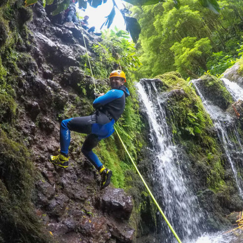 Cookies Policy | Azorean Active Blueberry