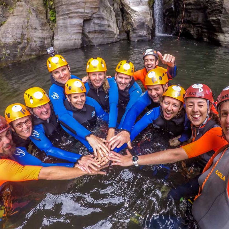 About Azorean Active Blueberry in São Miguel Island at Azores