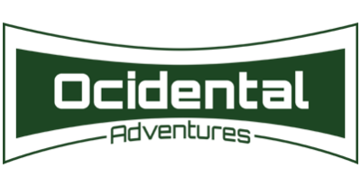 Partners | Azorean Active Blueberry