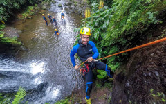 Welcome to Blueberry’s blog Azorean Active Blueberry